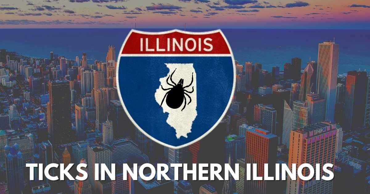 Ticks in Northern Illinois – Stop Ticks