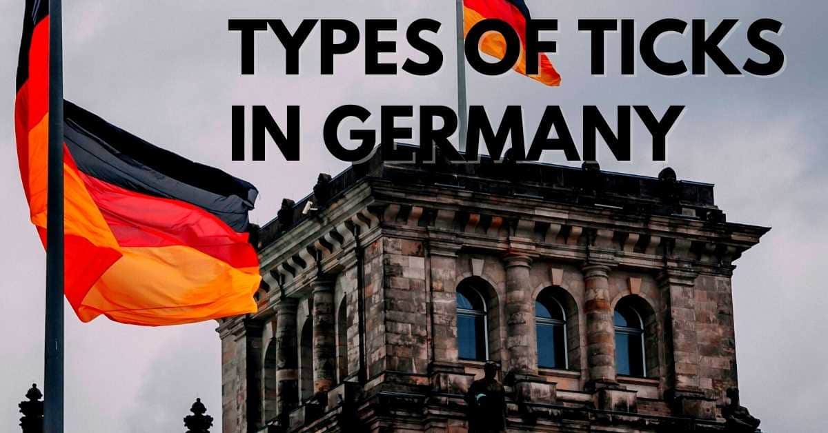 Types of Ticks in Germany – Stop Ticks
