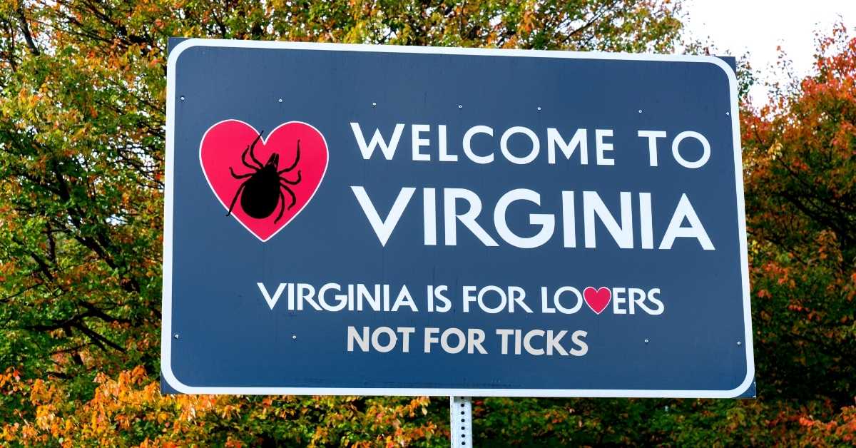 Ticks in Virginia – Stop Ticks